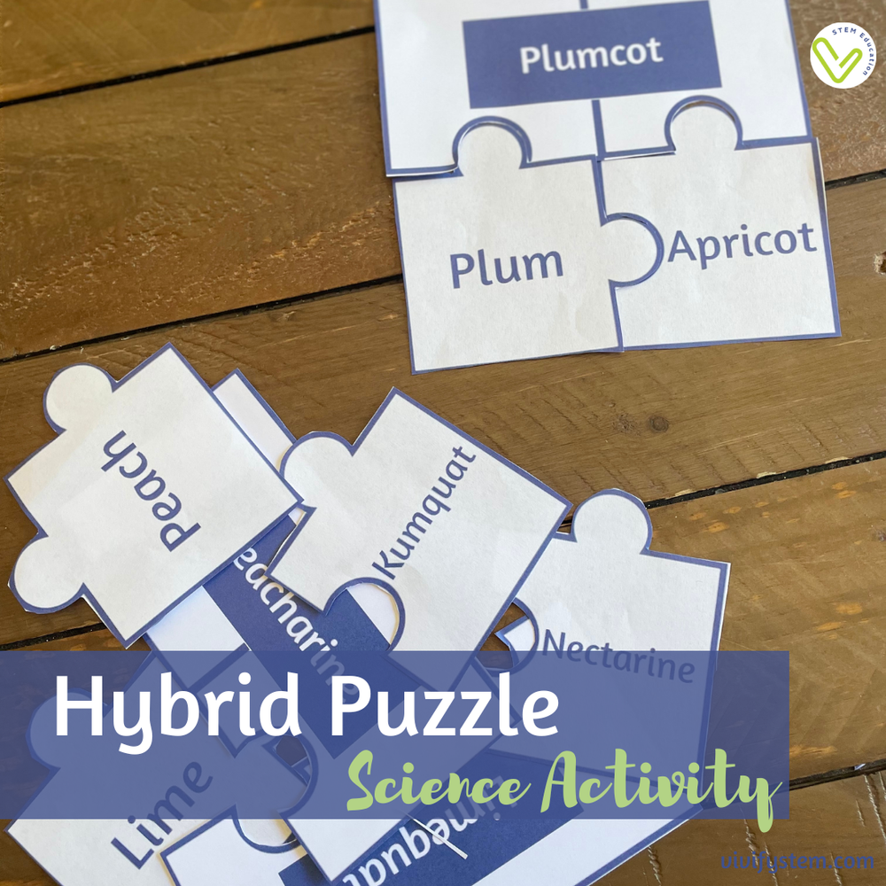 Engineer a New Fruit! Genetics STEM Lab Activity — Vivify STEM