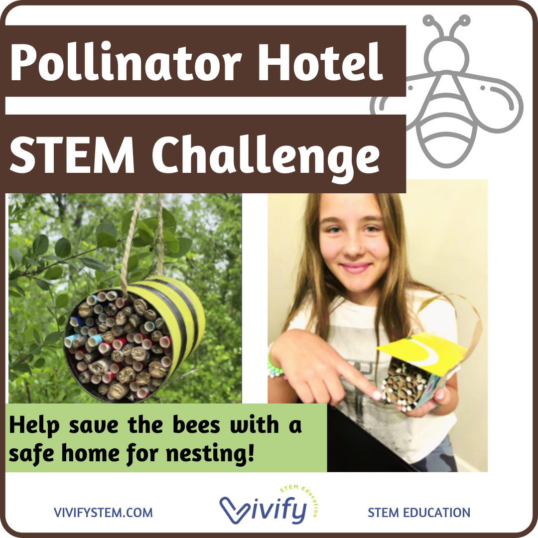 Water Pipeline STEM Challenge (Engineering Design Activity) — Vivify STEM