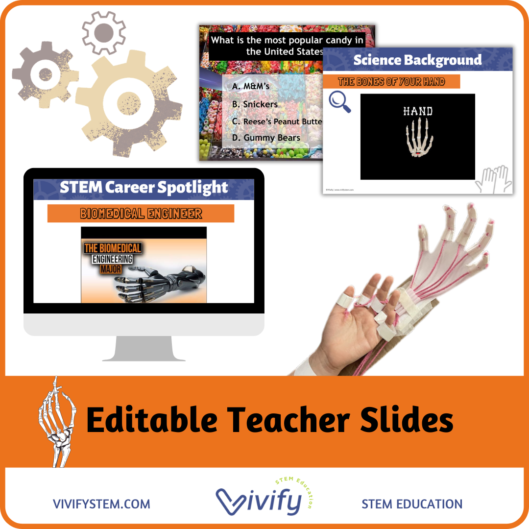 STEM Summer Activity Calendar: Fun with Math, Science, and Engineering ...