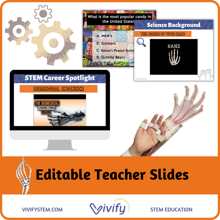 STEM Summer Activity Calendar: Fun with Math, Science, and Engineering ...