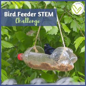 Top 10 STEM Activities for Spring — Vivify STEM