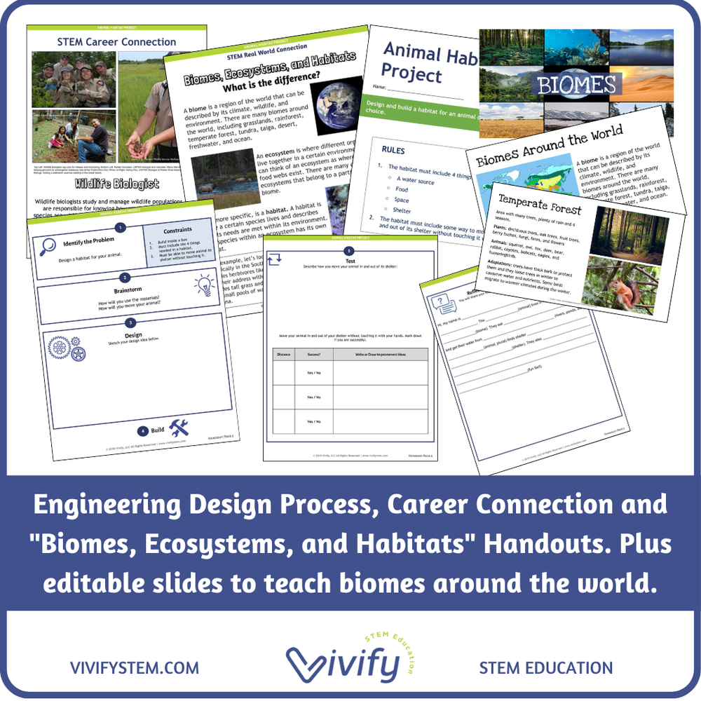 Ocean Animal Observatory STEM Diorama Engineering Design Project ...