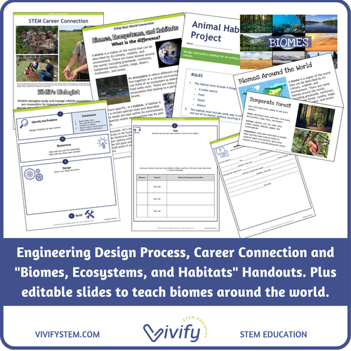 Ocean Animal Observatory STEM Diorama Engineering Design Project ...