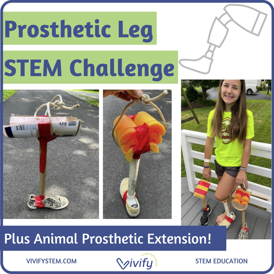 Design a Zoo! 5E STEM Project — Vivify STEM