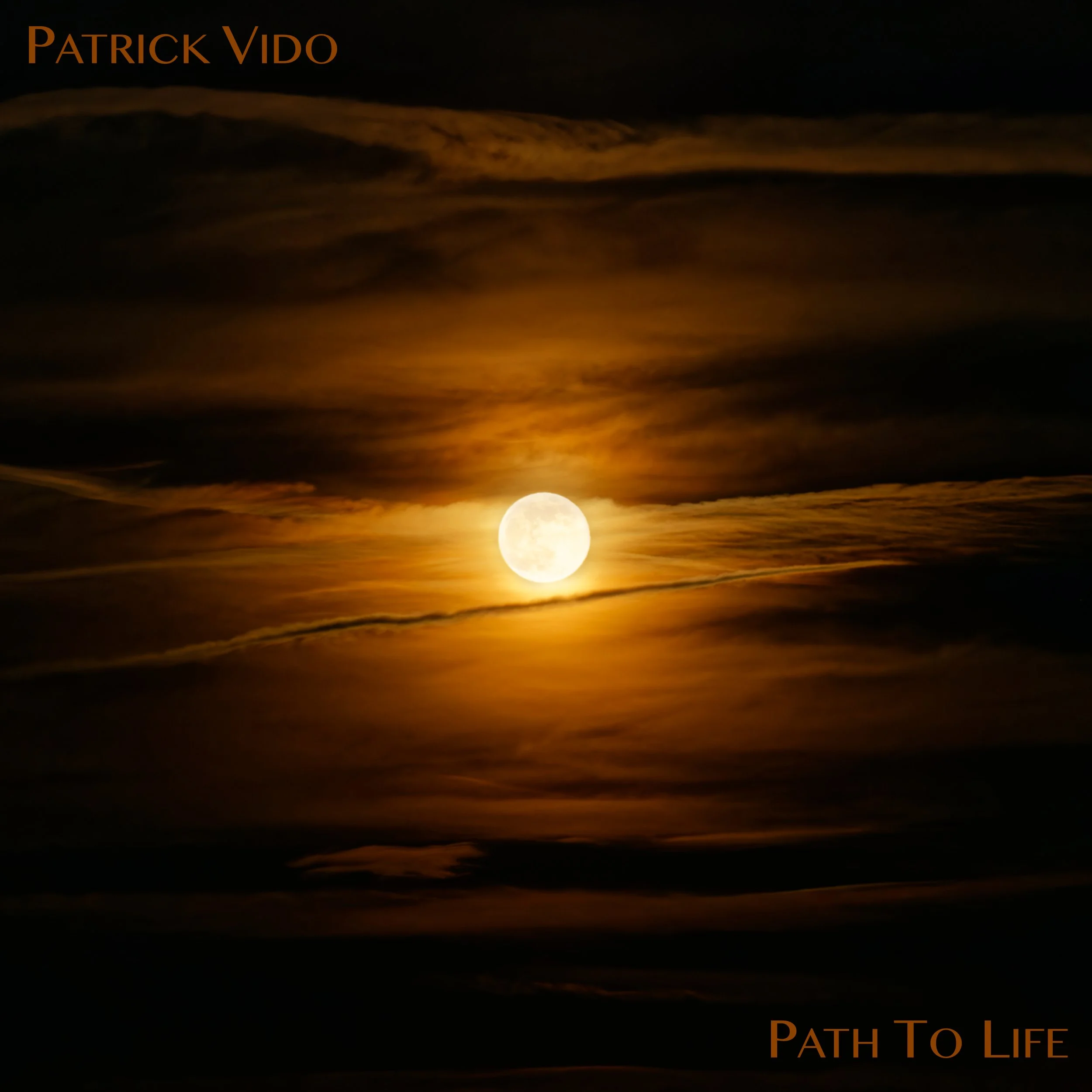 Musik, Path to Life Album von Patrick Vido — In Resonance