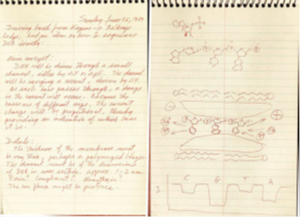 Sketch to Concept: Unraveling the Invention of Nanopore Sequencing ...