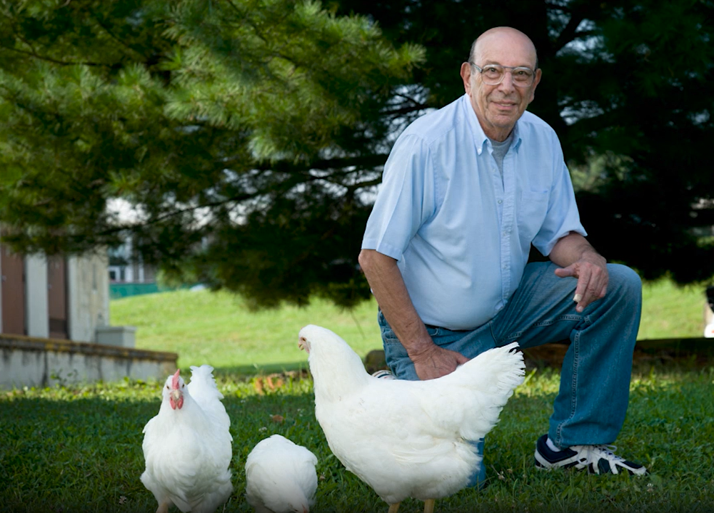 Raising Chickens, Elevating Scientists — The Golden Goose Award