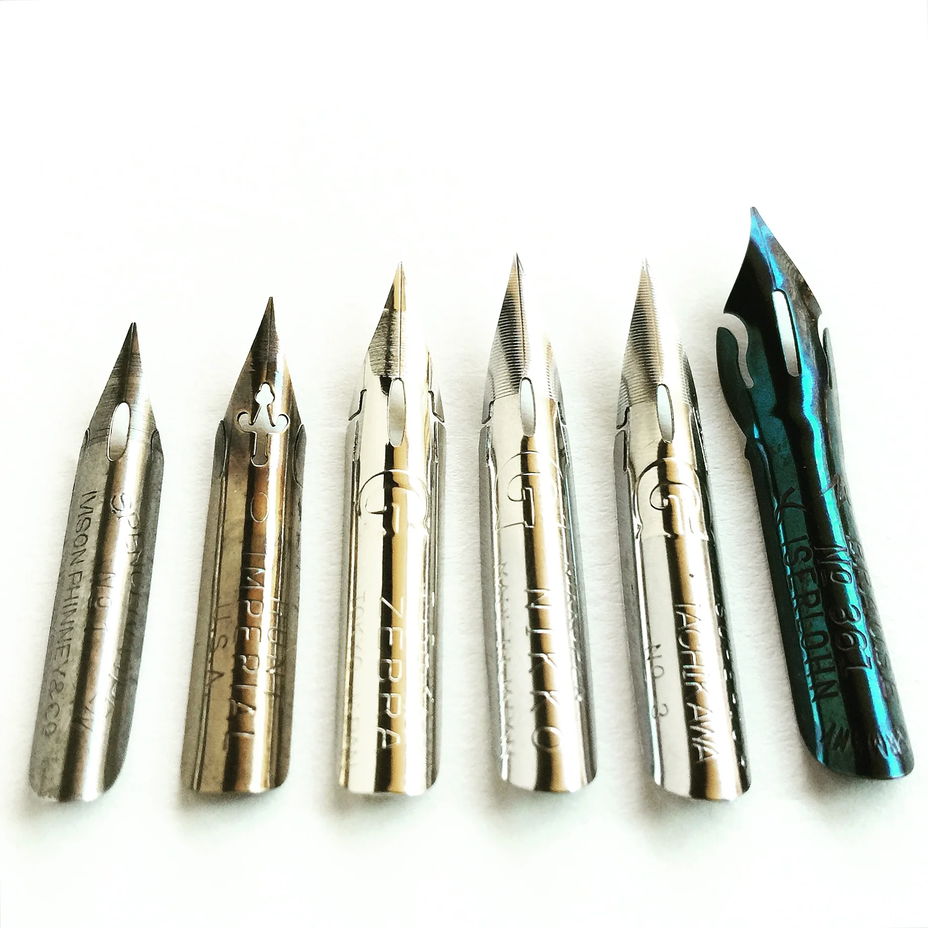 Creative Spotlight: Anintran — Ash Bush