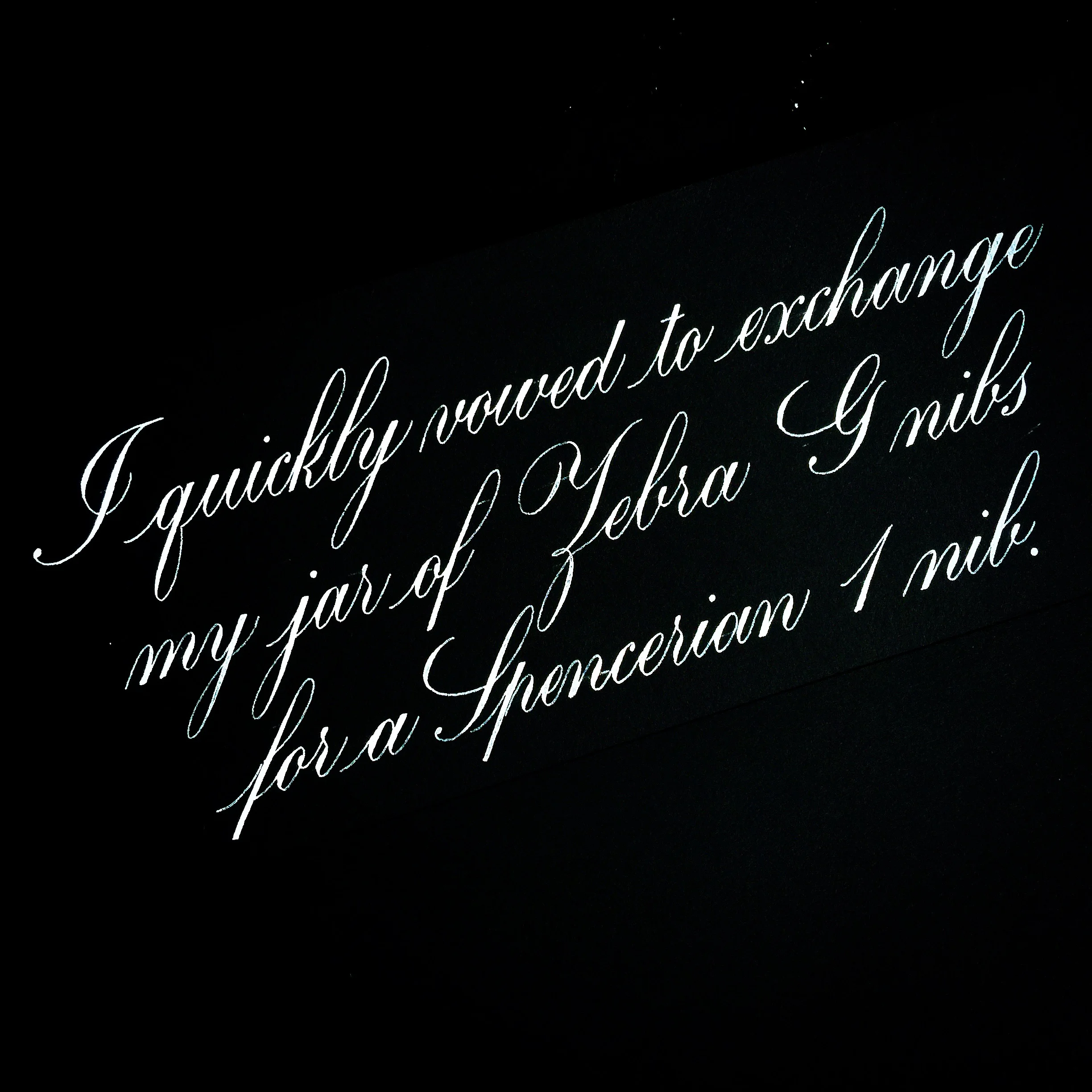 Creative Spotlight: Anintran — Ash Bush