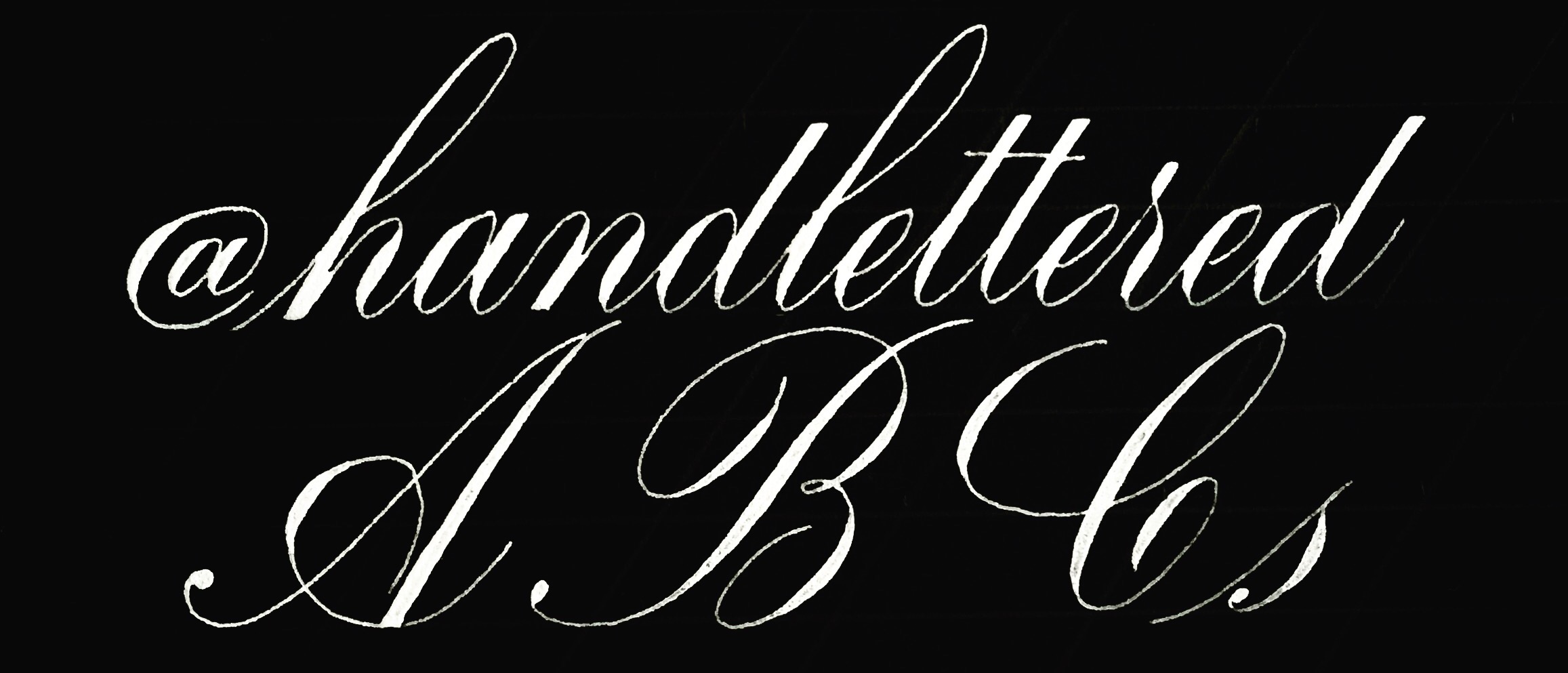 Creative Spotlight: Anintran — Ash Bush