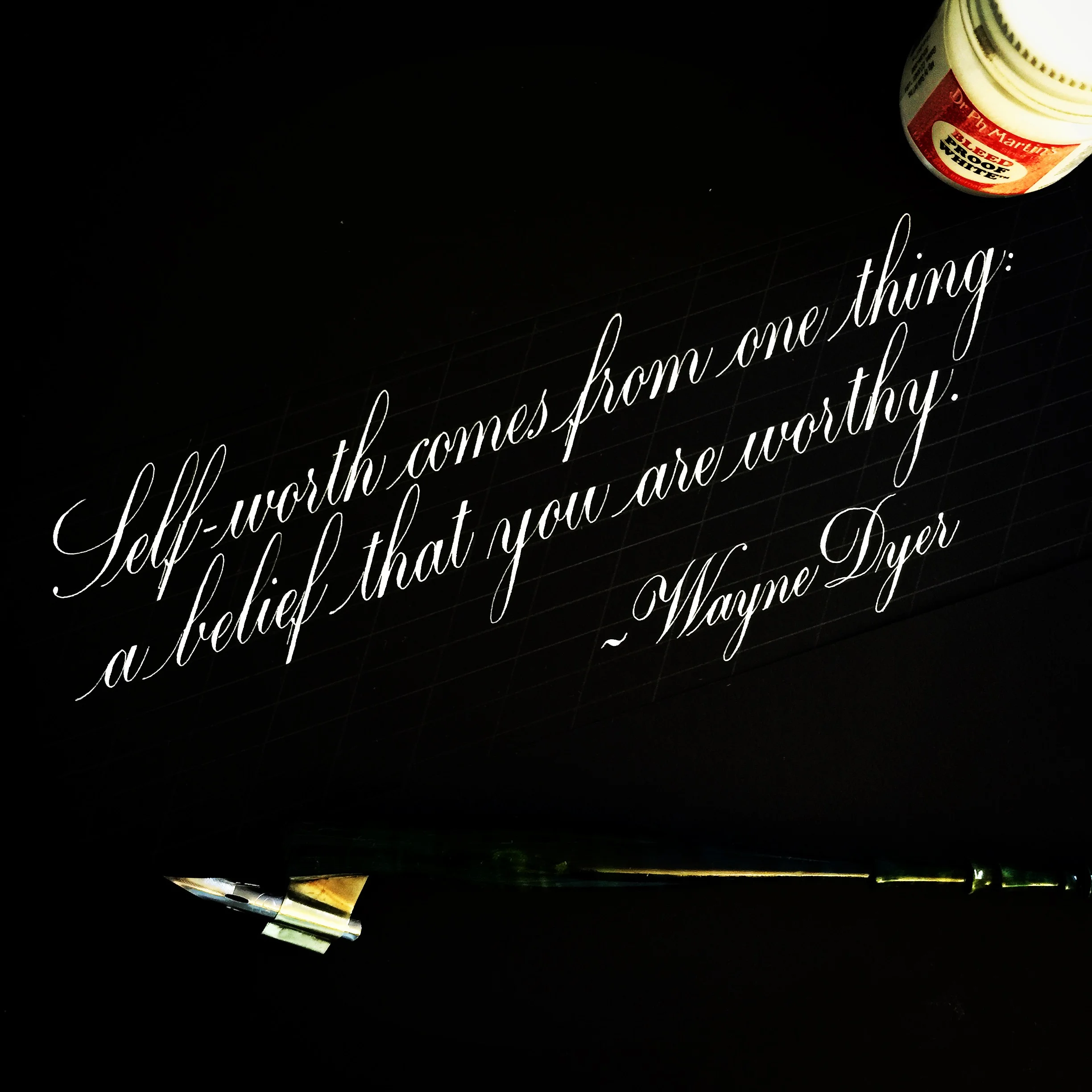 Creative Spotlight: Anintran — Ash Bush