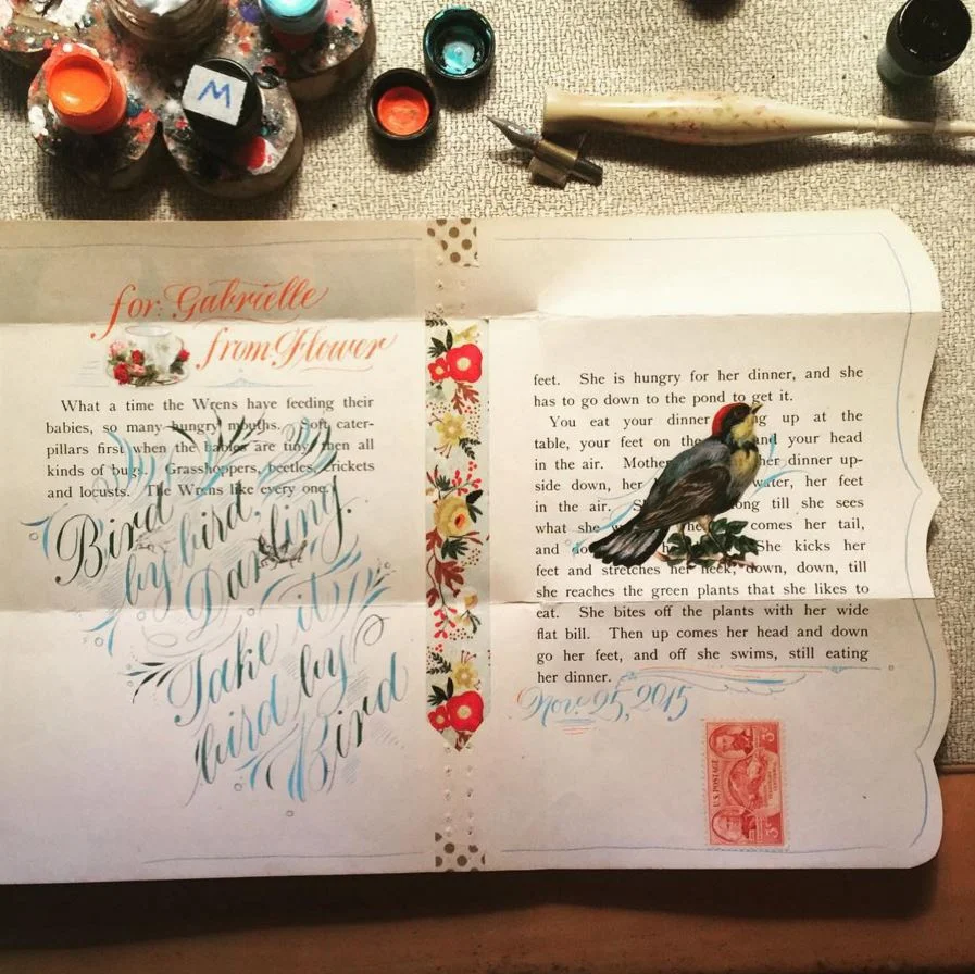 Creative Spotlight: Anne Elser — Ash Bush