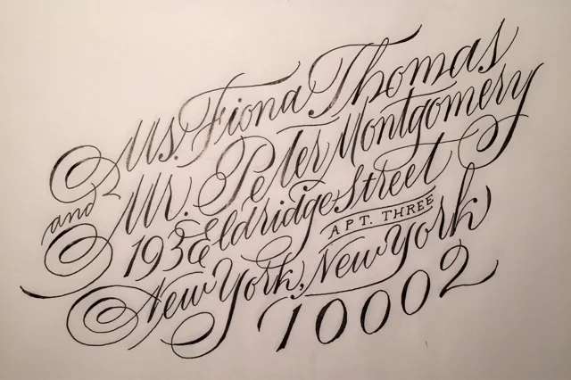 Creative Spotlight: Anne Elser — Ash Bush