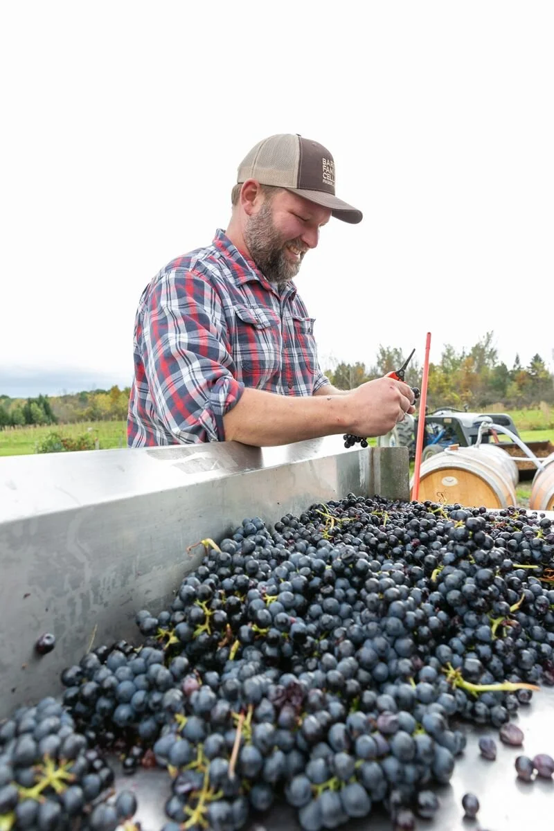 About Ian — Fine Finger Lakes Wines