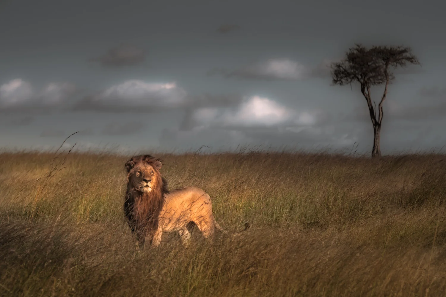 Chris Byrne Fine Art Photography | Limited Edition Nature & Landscape ...