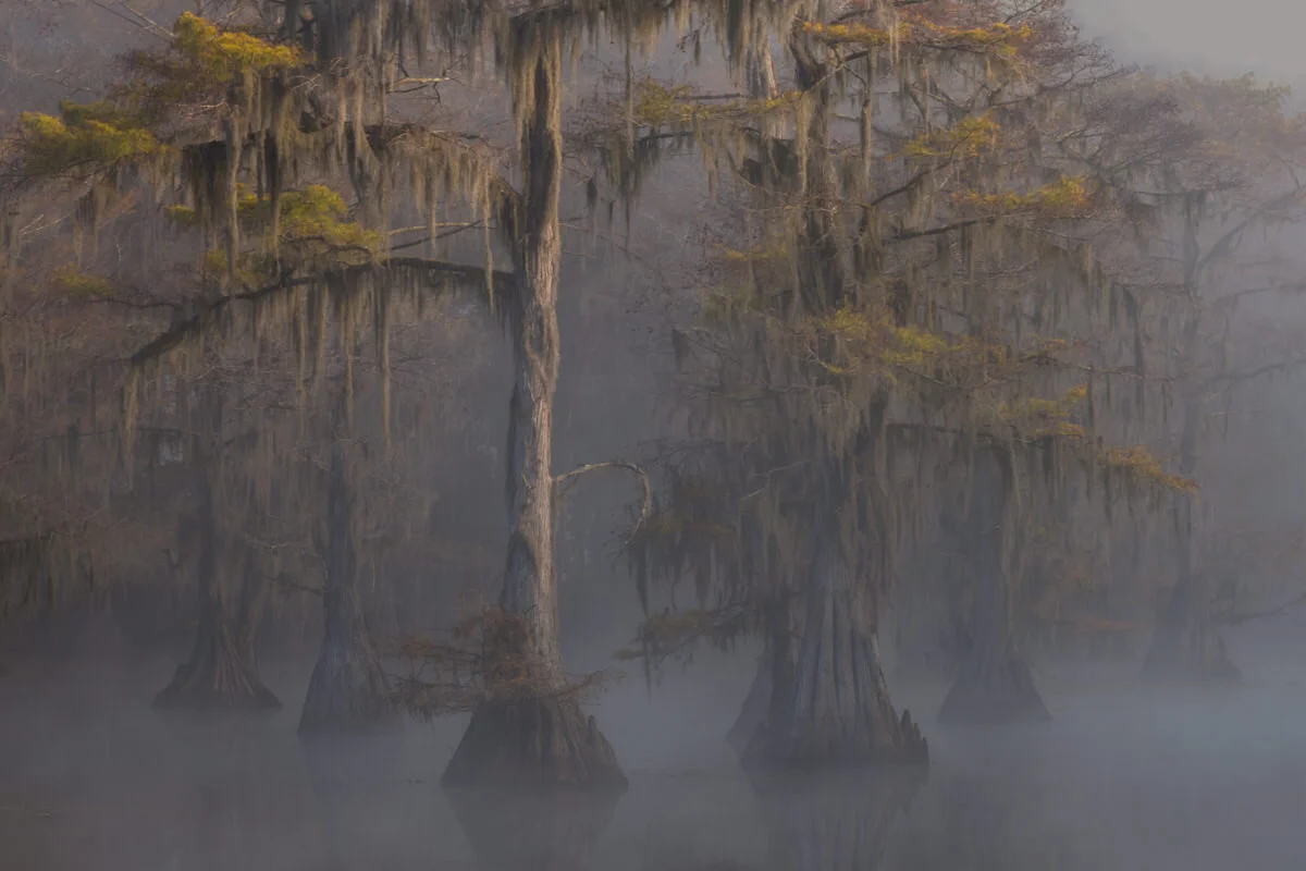 Beauty on the Bayou Photography Workshop — Chris Byrne Fine Art Photography