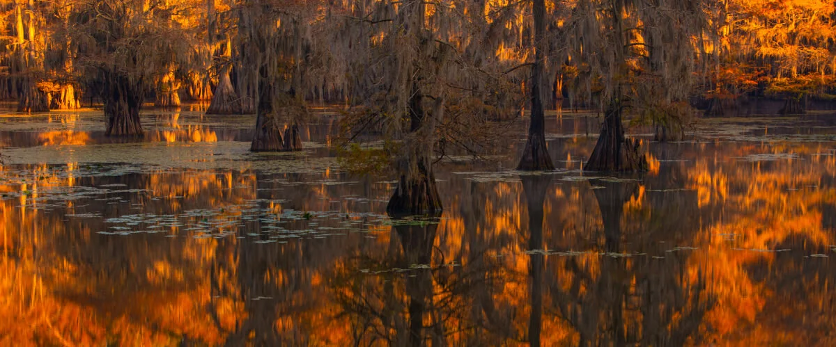 Beauty on the Bayou Photography Workshop — Chris Byrne Fine Art Photography