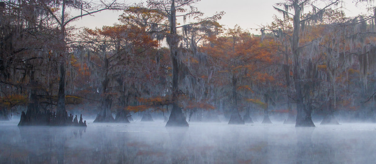 Beauty on the Bayou Photography Workshop — Chris Byrne Fine Art Photography