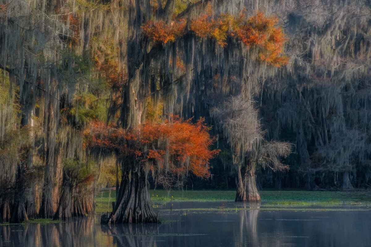 Beauty on the Bayou Photography Workshop — Chris Byrne Fine Art Photography