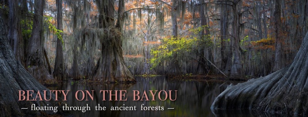 Beauty on the Bayou Photography Workshop — Chris Byrne Fine Art Photography