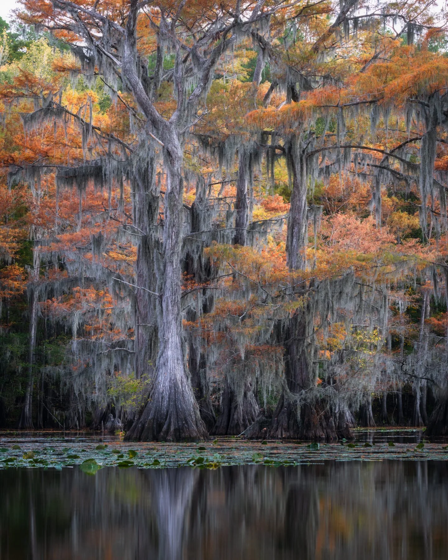 Beauty on the Bayou Photography Workshop — Chris Byrne Fine Art Photography