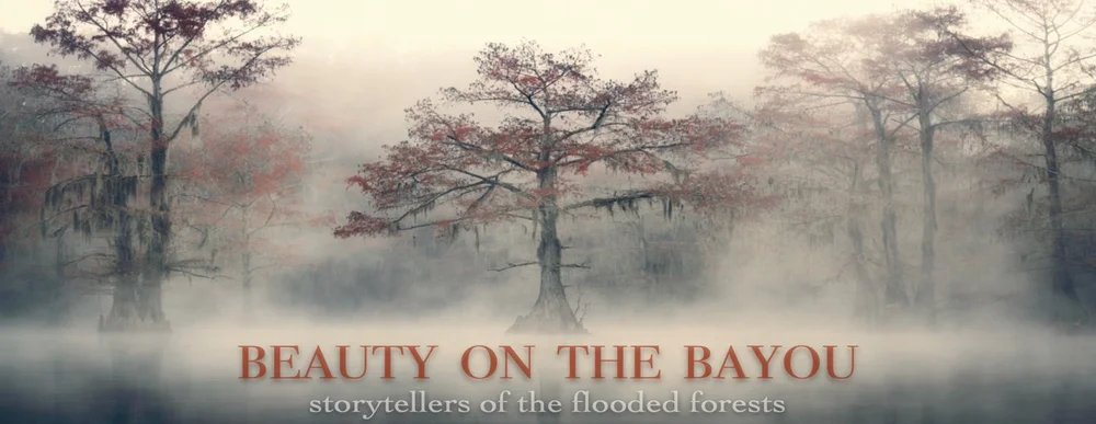 Beauty on the Bayou Photography Workshop — Chris Byrne Fine Art Photography