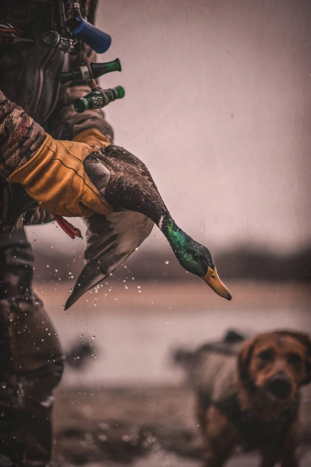 Kansas Duck Hunting CME — Wild Med Adventures