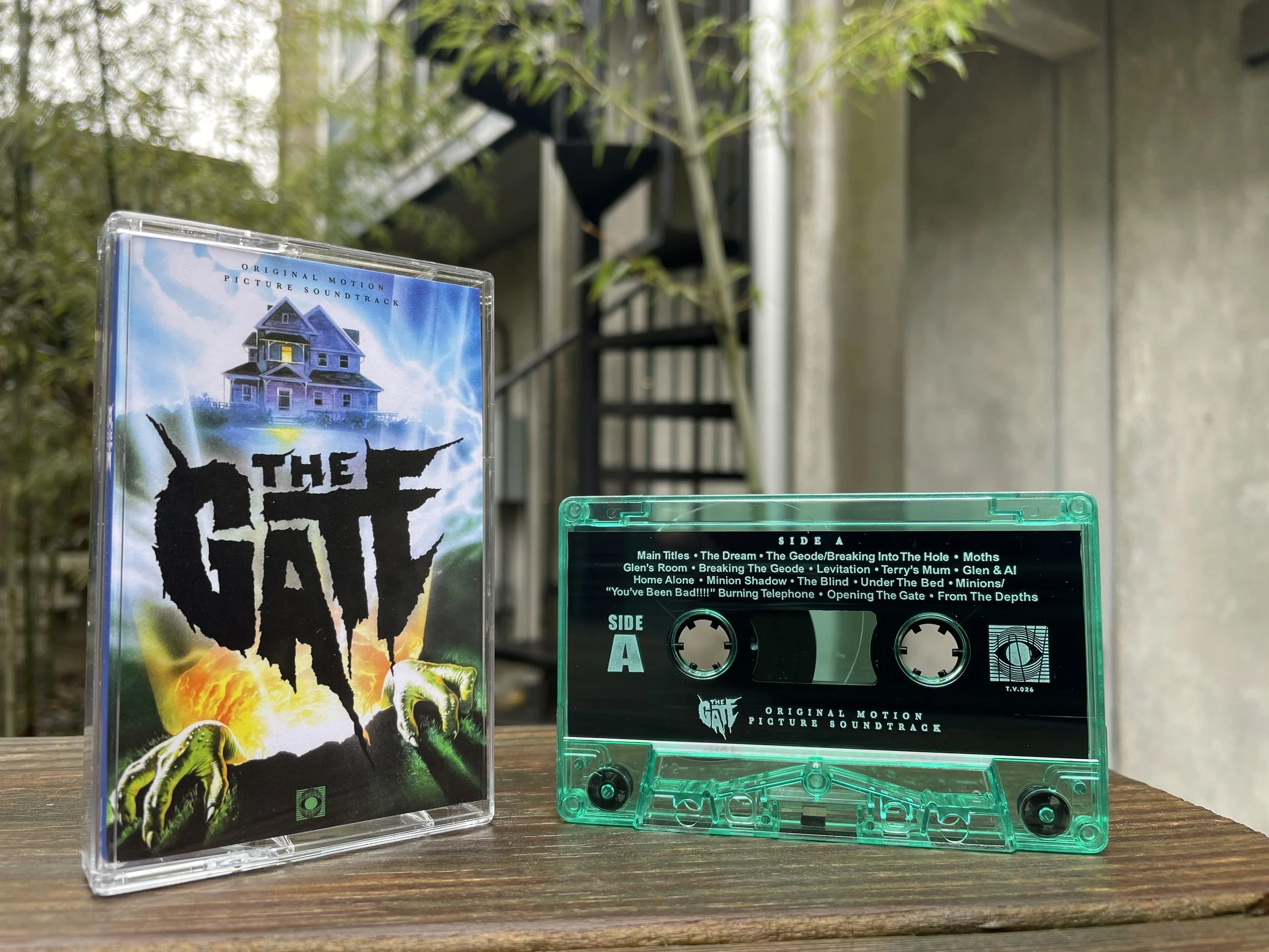 Terror Vision Records & Video