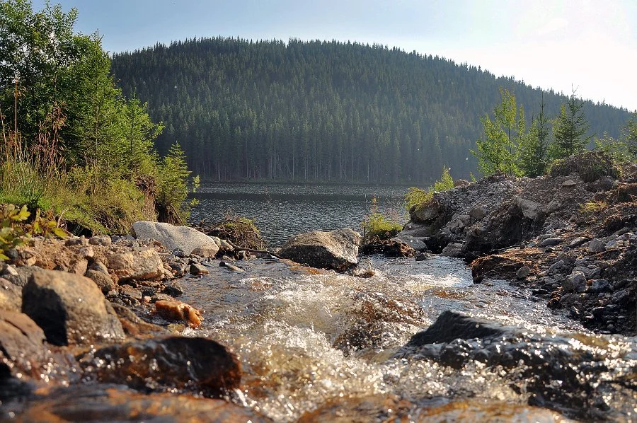 Day trip to Sureanu mountains — Visit Alba Iulia