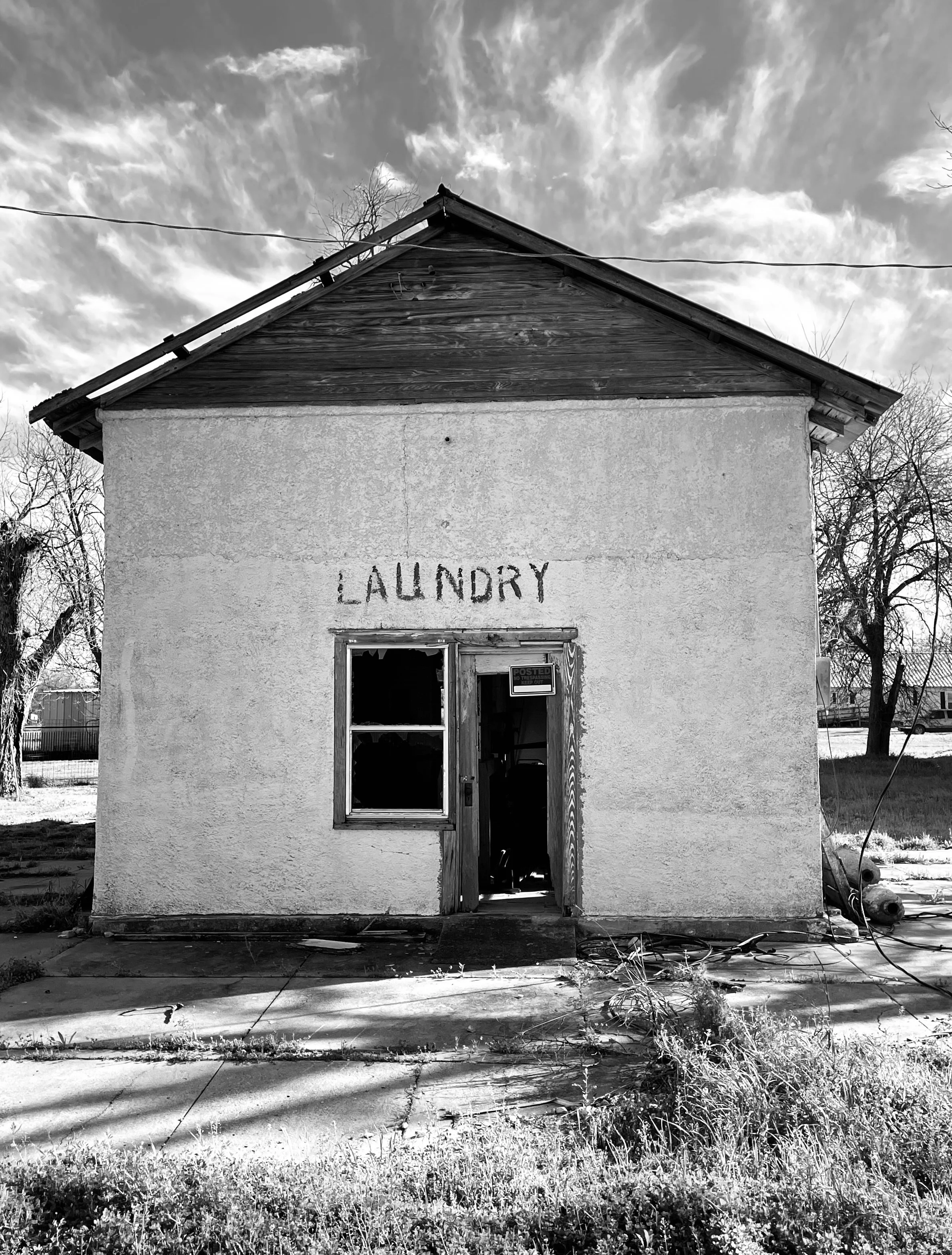 Oncor Gallery 2024 — Business Council for the Arts