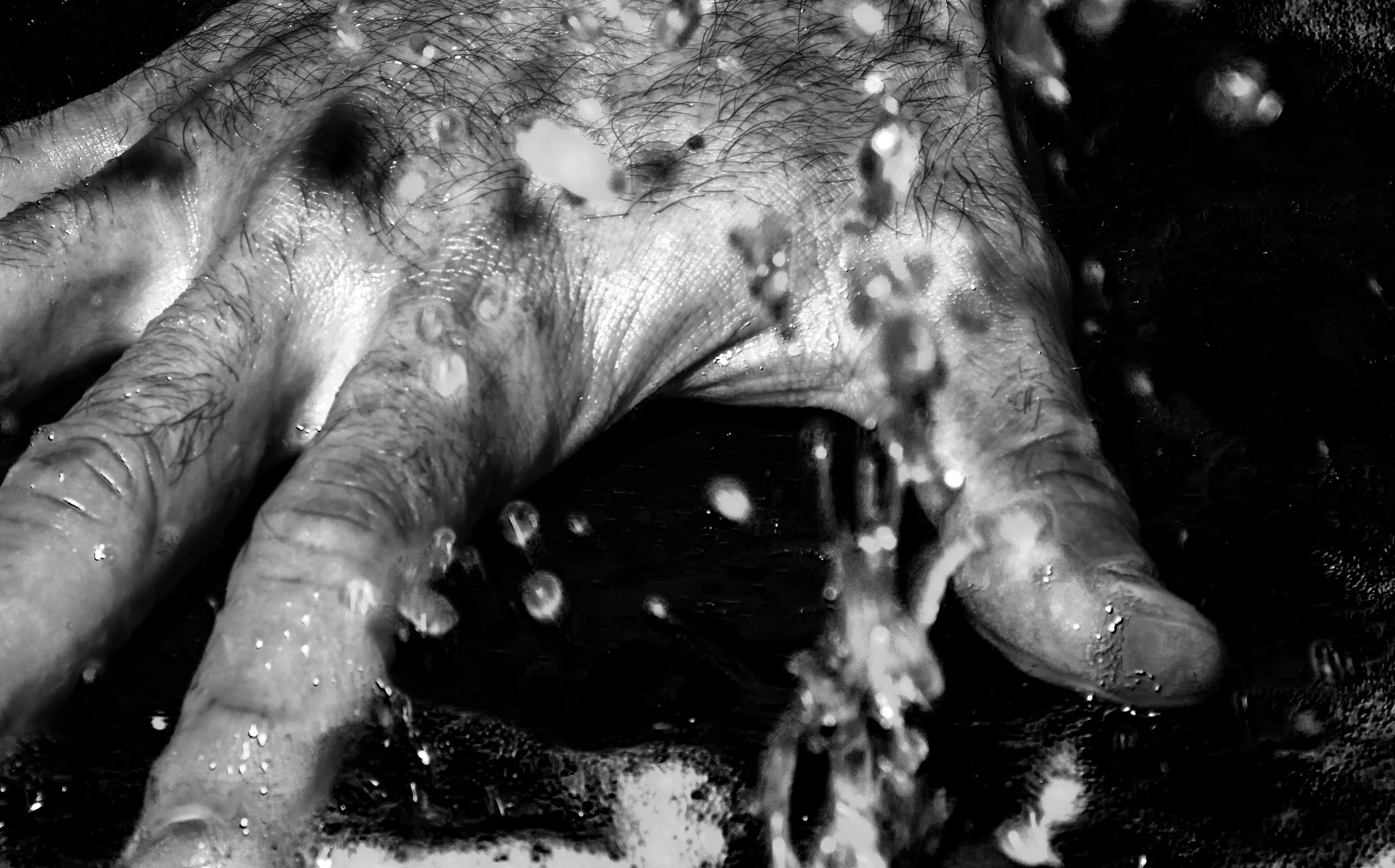 Adon Exclusive: Model Ramony Farias By Abraham Saraya — Adon | Men's ...