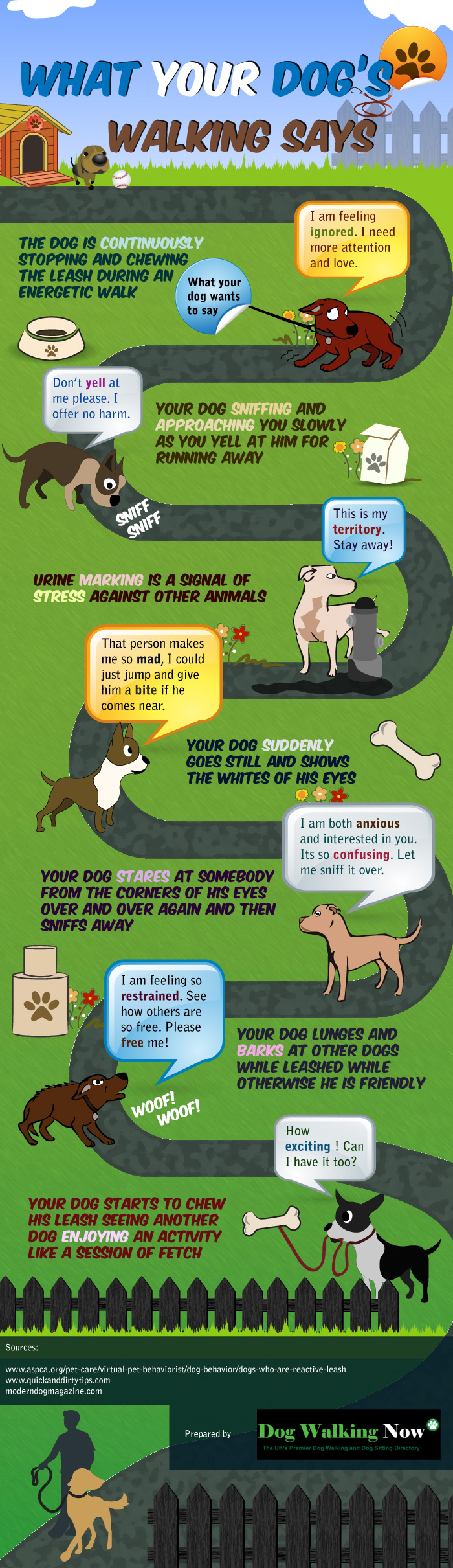 How to Interpret Your Dogs Walk — Dan's Pet Care