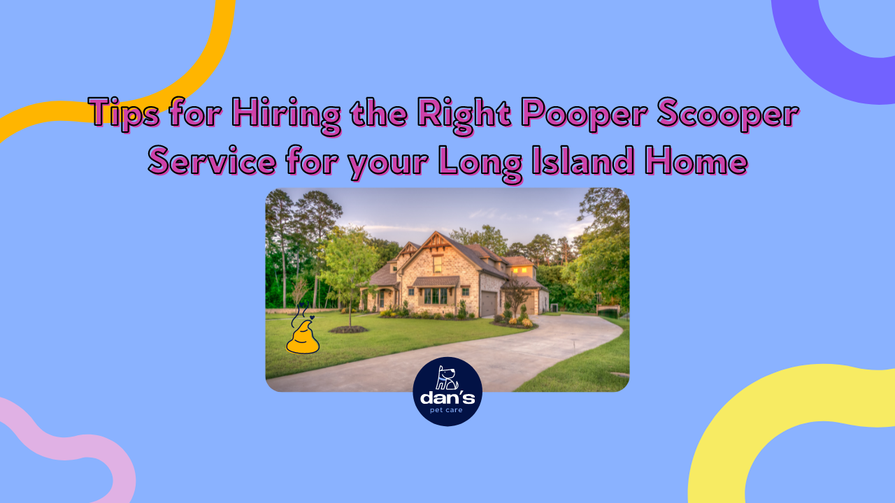 Tips for Hiring the Right Pooper Scooper Service for your Long Island ...