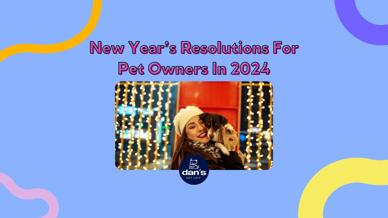 NEW YEARS RESOLUTIONS FOR PET OWNERS IN 2024 — Dan's Pet Care