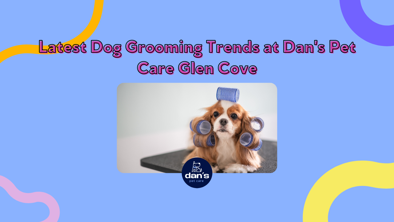 Latest Dog Grooming Trends at Dan's Pet Care Glen Cove — Dan's Pet Care