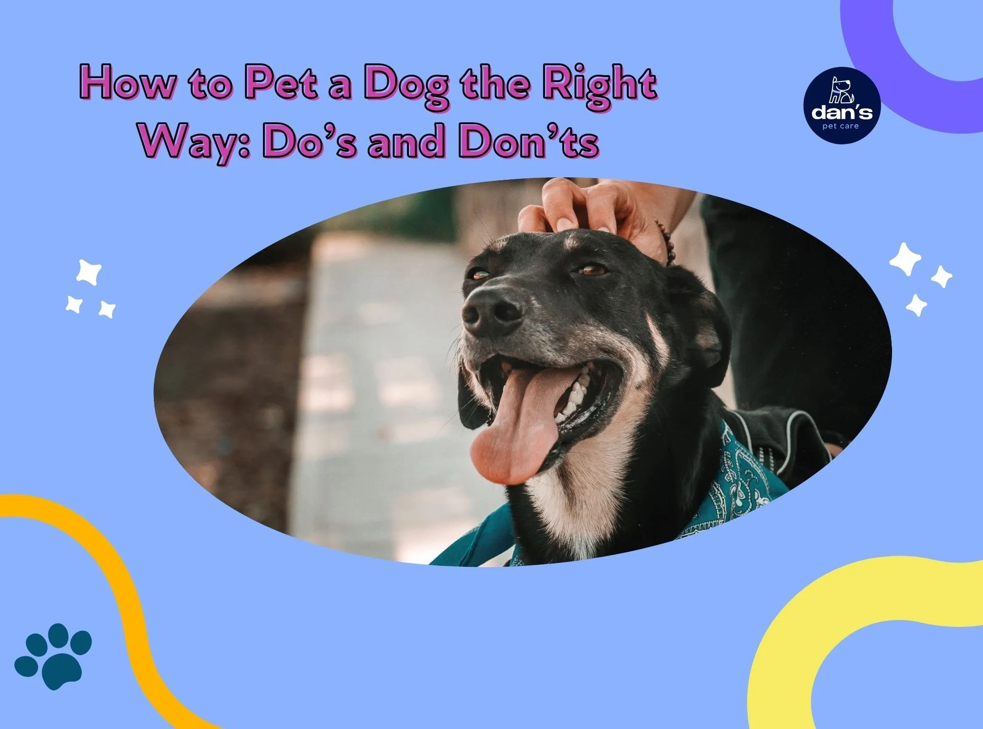 How to Pet a Dog the Right Way: Do’s and Don’ts — Dan's Pet Care