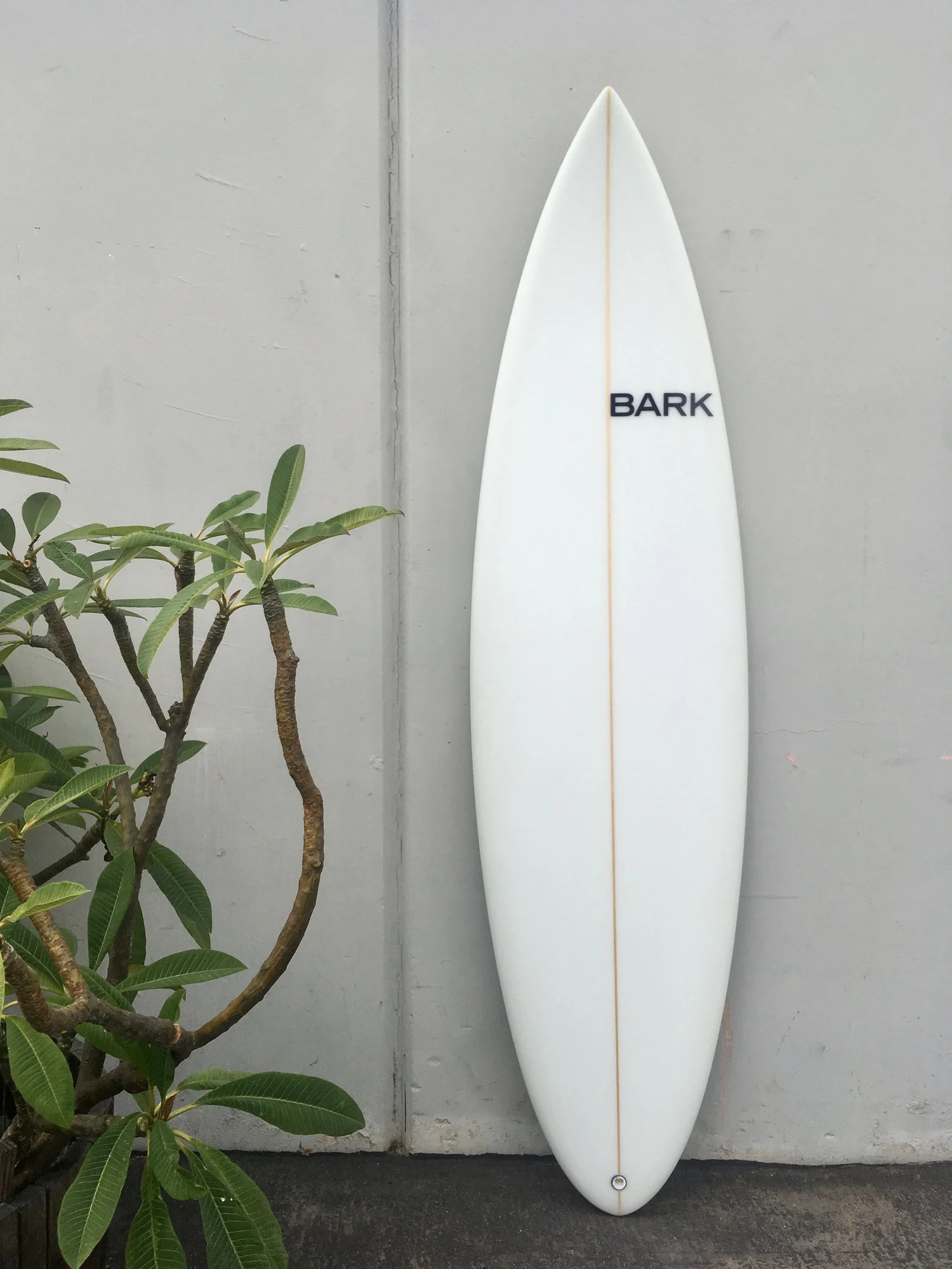 Shortboards — Bark Paddleboards