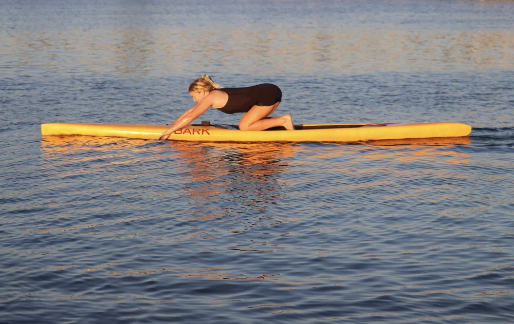 Greyhounds — Bark Paddleboards