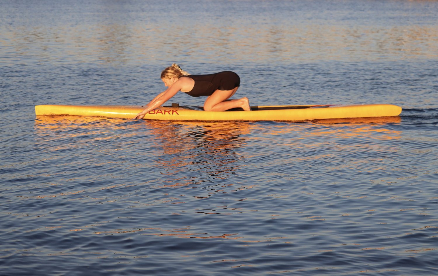 Greyhounds — Bark Paddleboards