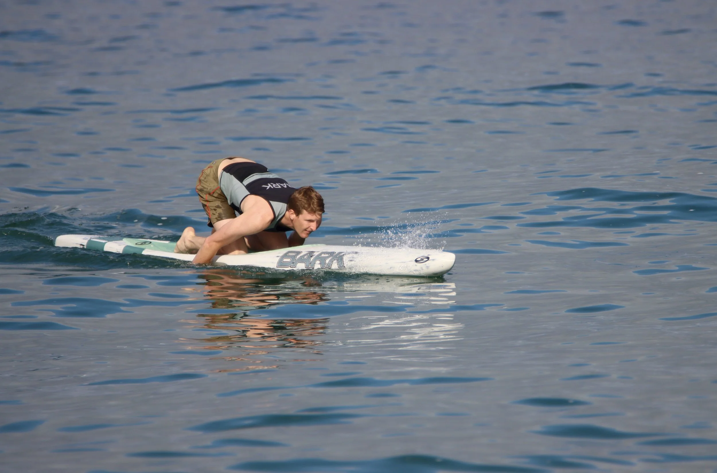 Surftech — Bark Paddleboards