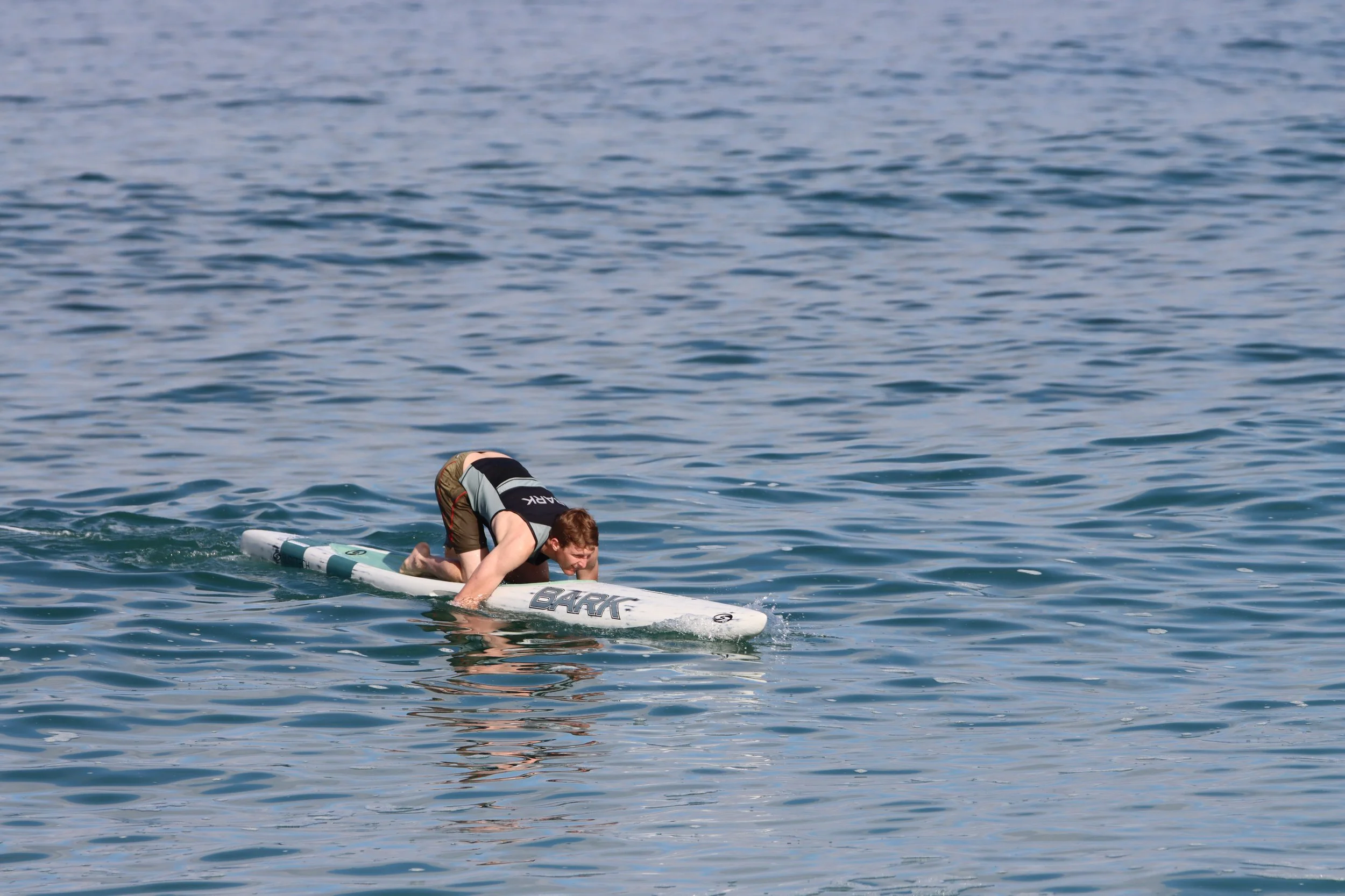 Surftech — Bark Paddleboards