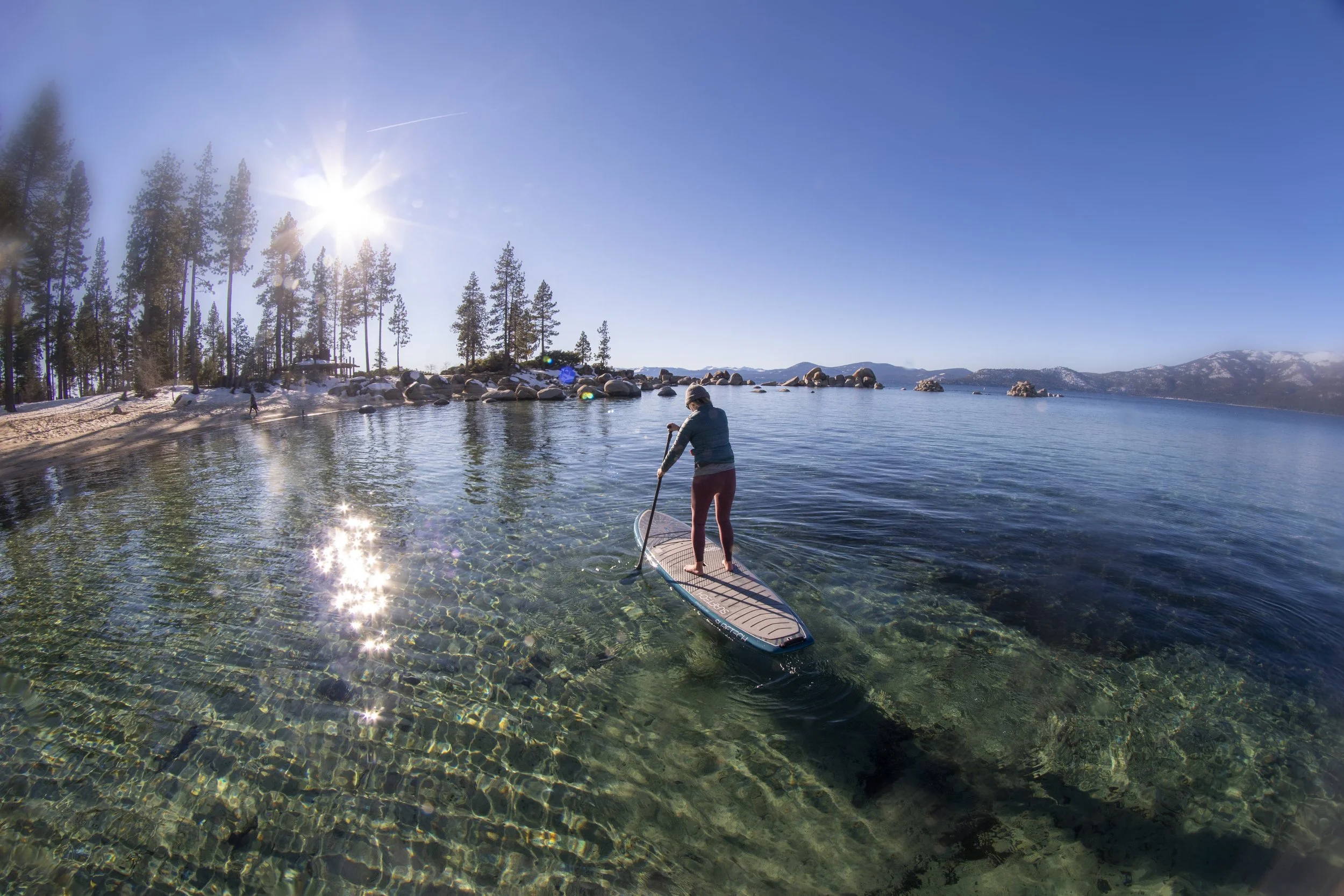 Surftech — Bark Paddleboards