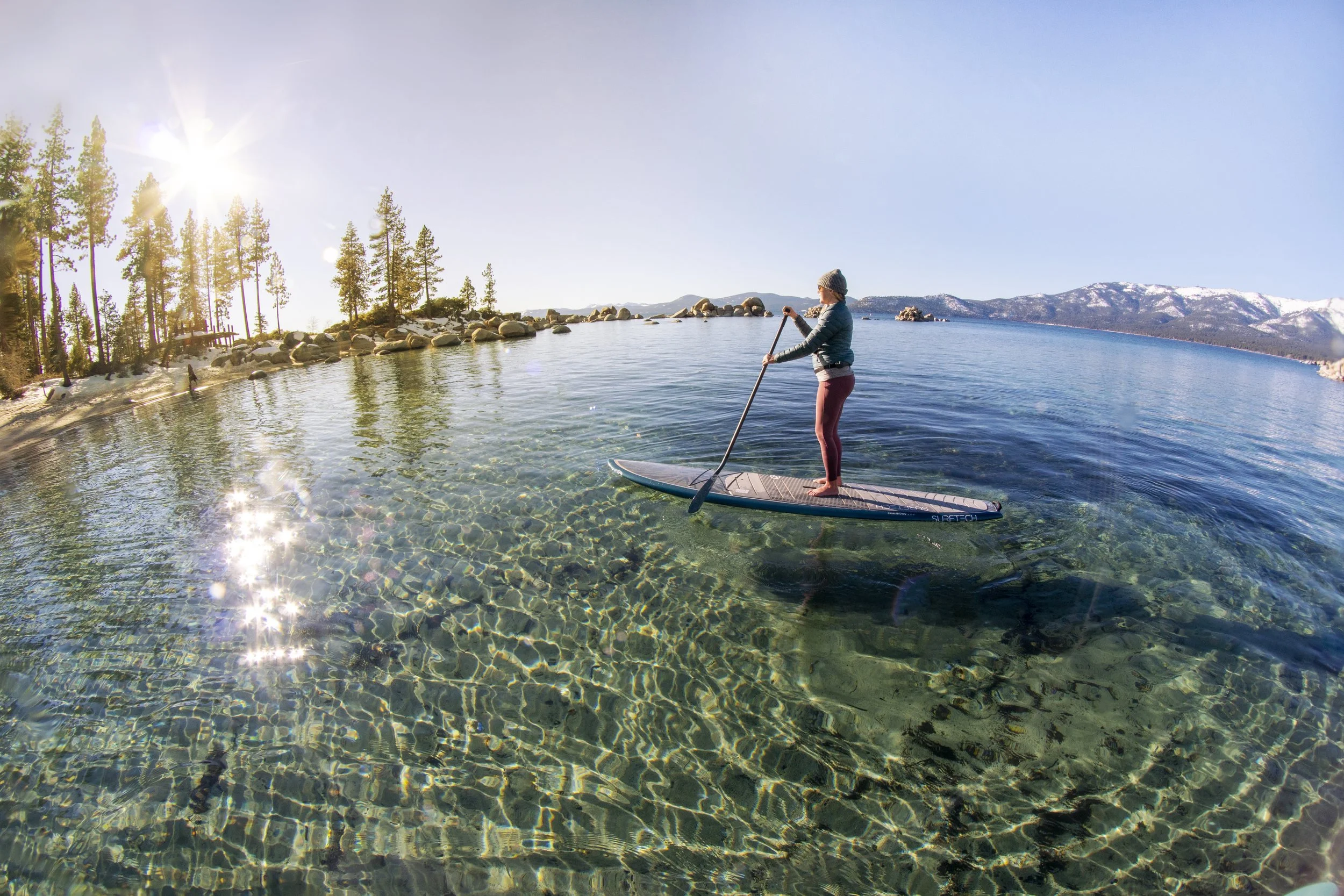 Surftech — Bark Paddleboards
