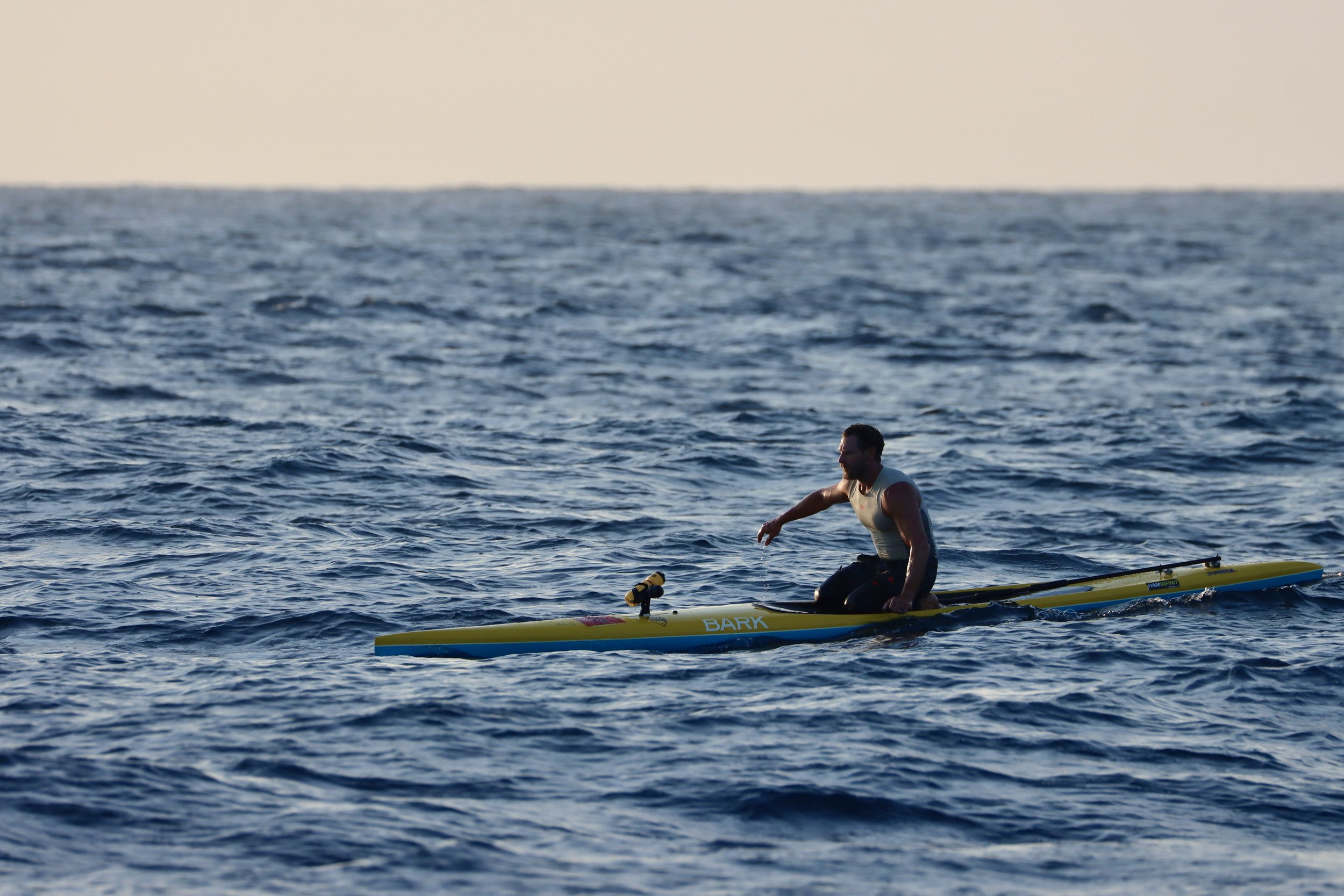 Bark Paddleboards