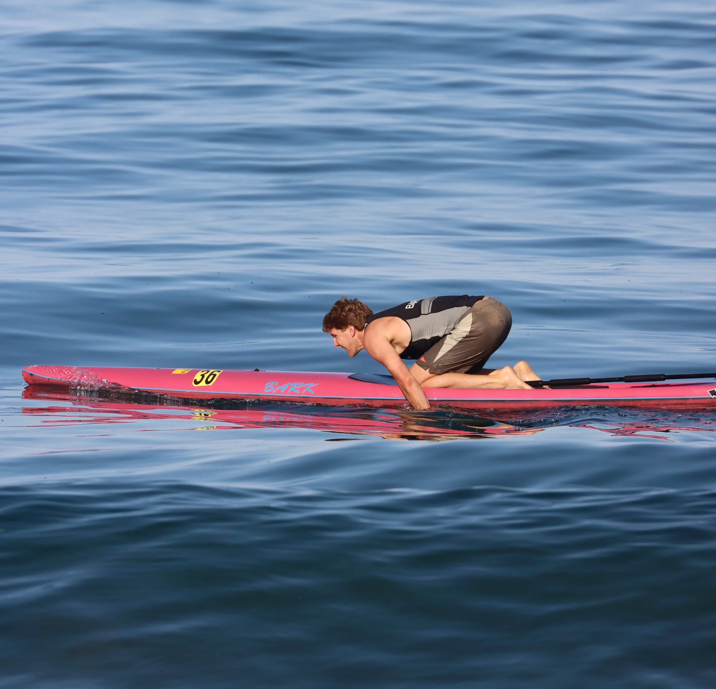 STORE — Bark Paddleboards