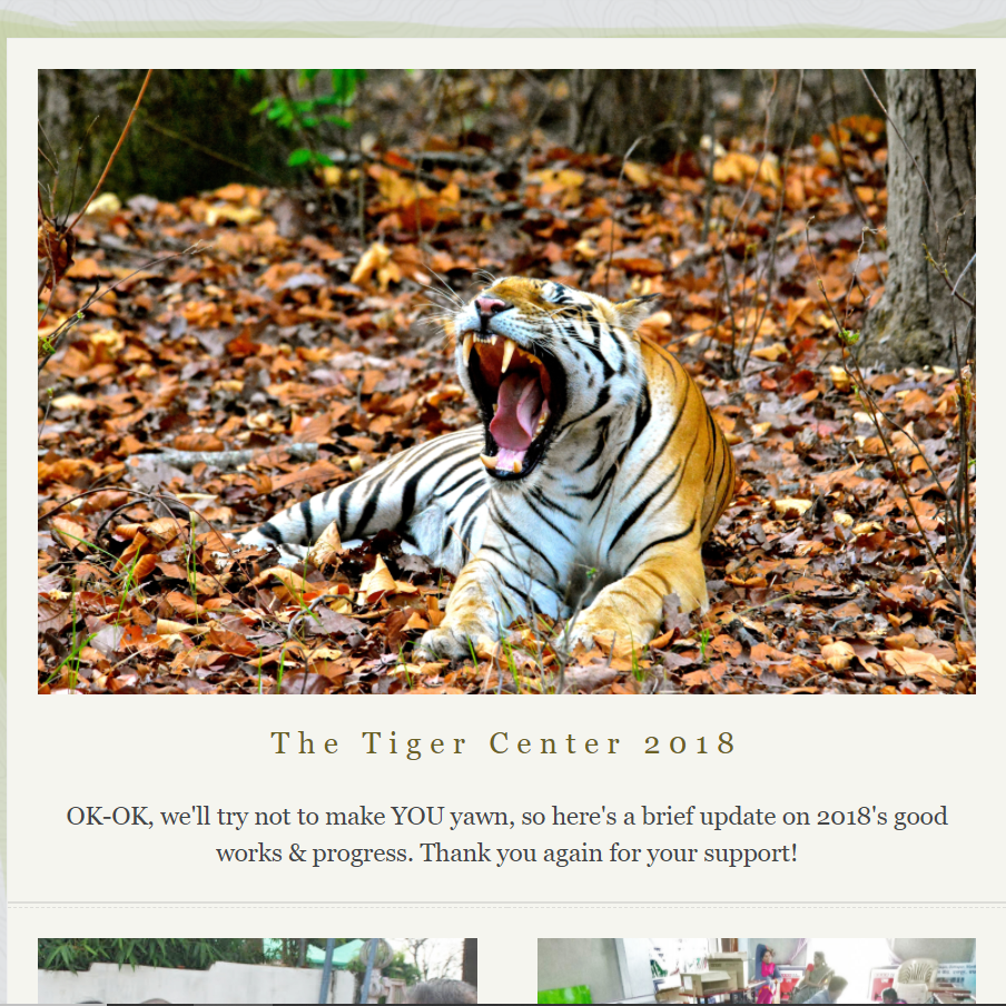 The Tiger Center