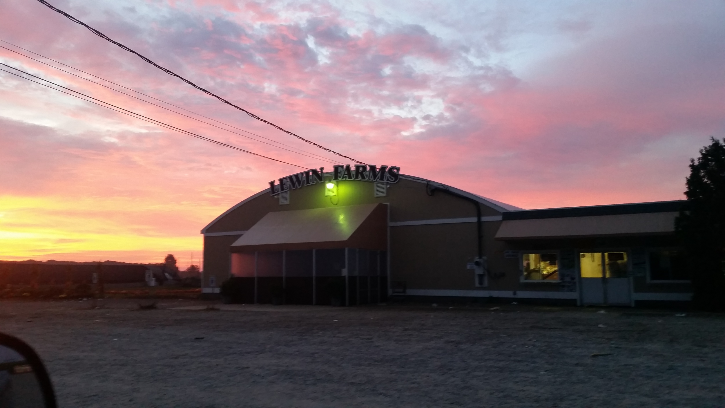 About — Lewin Farms Homepage