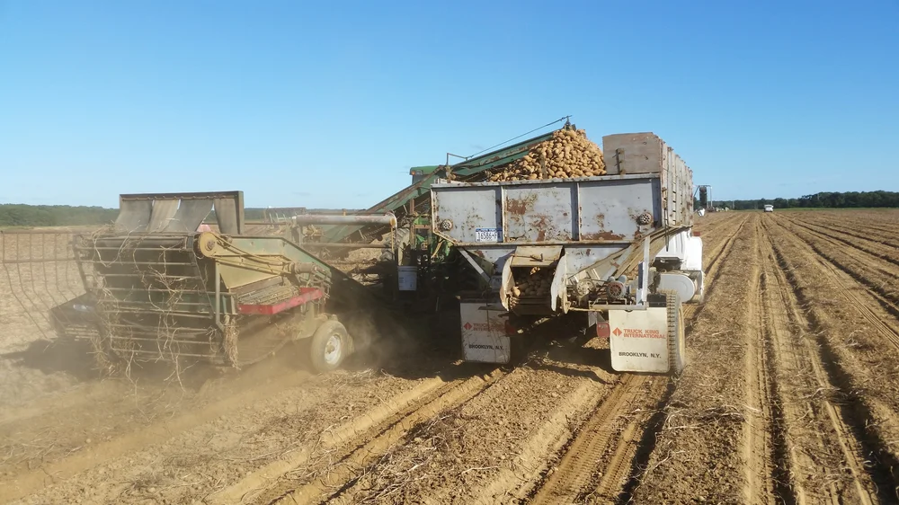 About — Lewin Farms Homepage