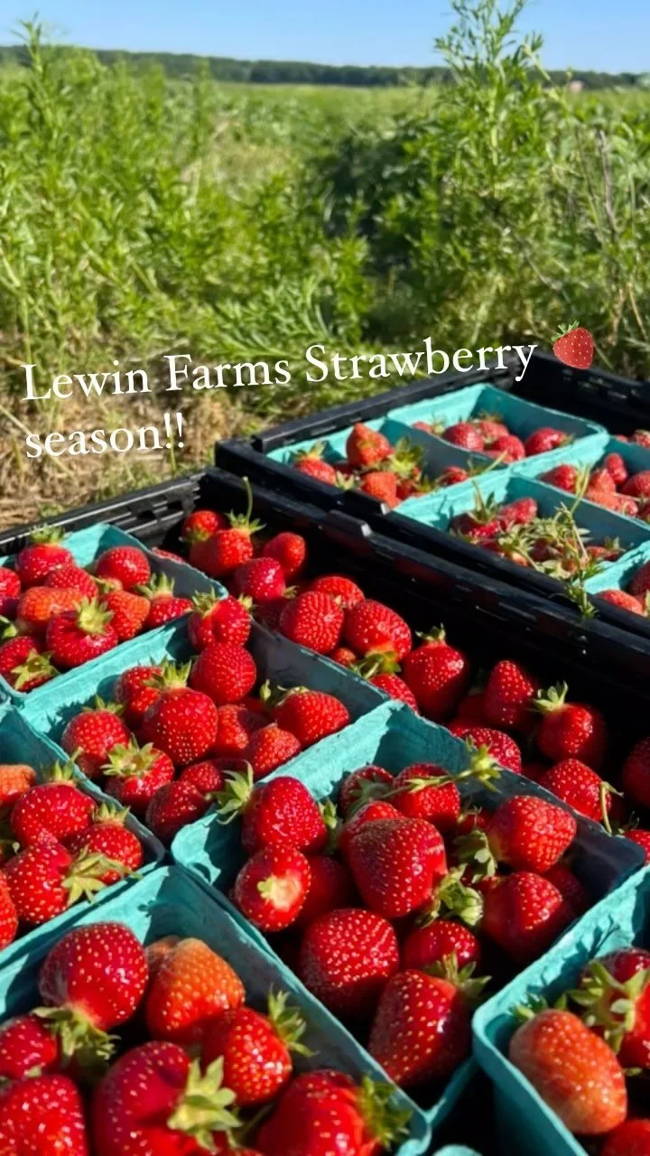 About — Lewin Farms Homepage