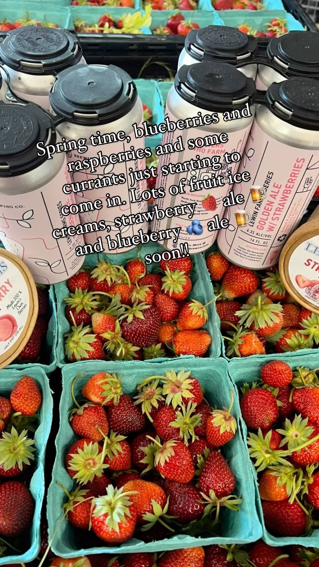 About — Lewin Farms Homepage